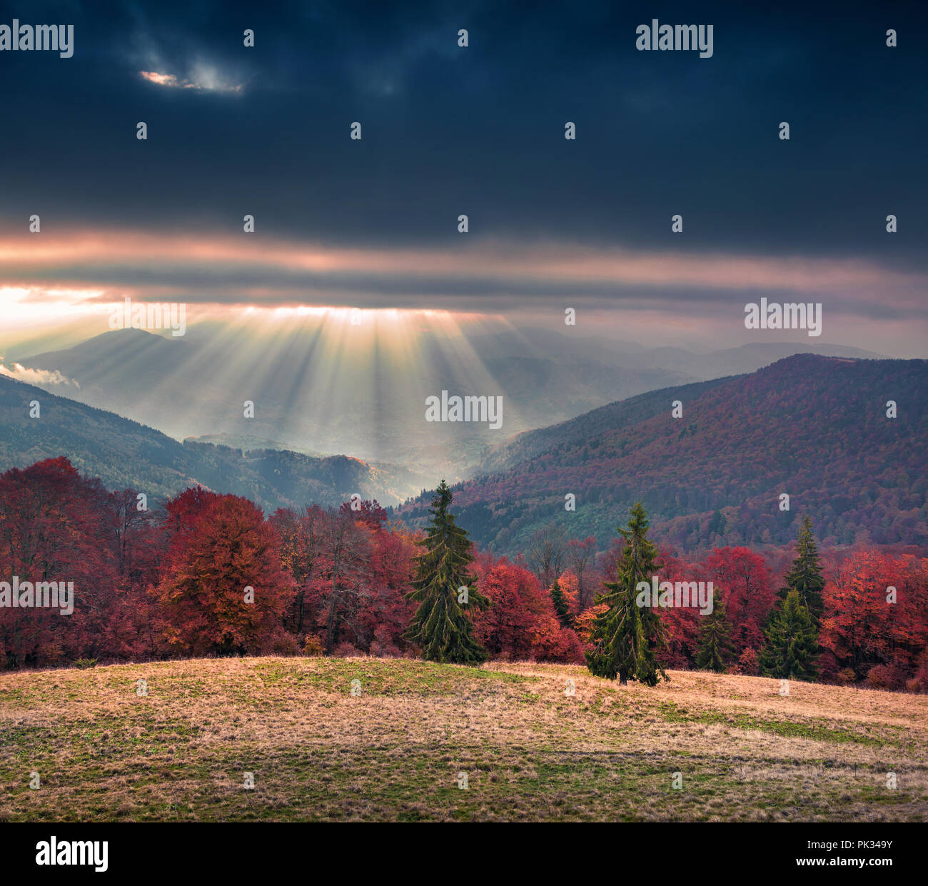 Morning sunlight through dark rain clouds in the autumn mountains Stock ...