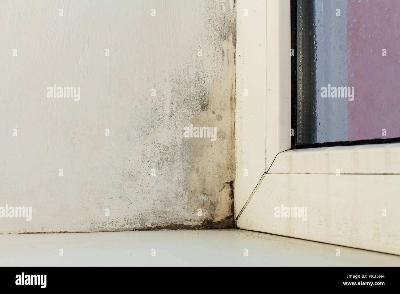 Mold near a window in the house Stock Photo - Alamy