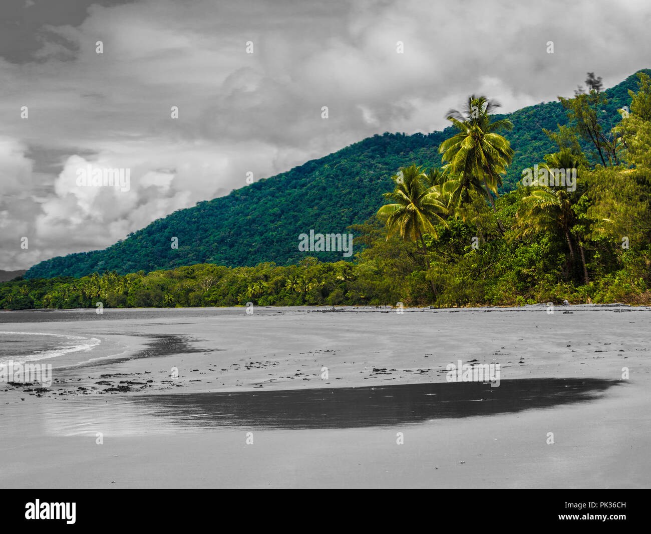 Rainforest Edge High Resolution Stock Photography and Images - Alamy