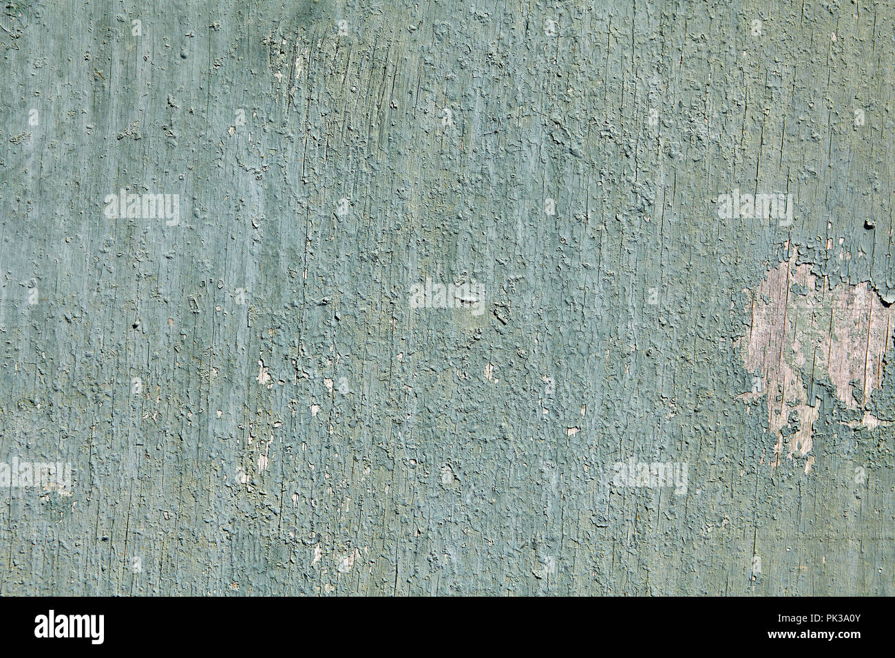 Closeup peeling pale green paint on the surface of the old, cracked ...