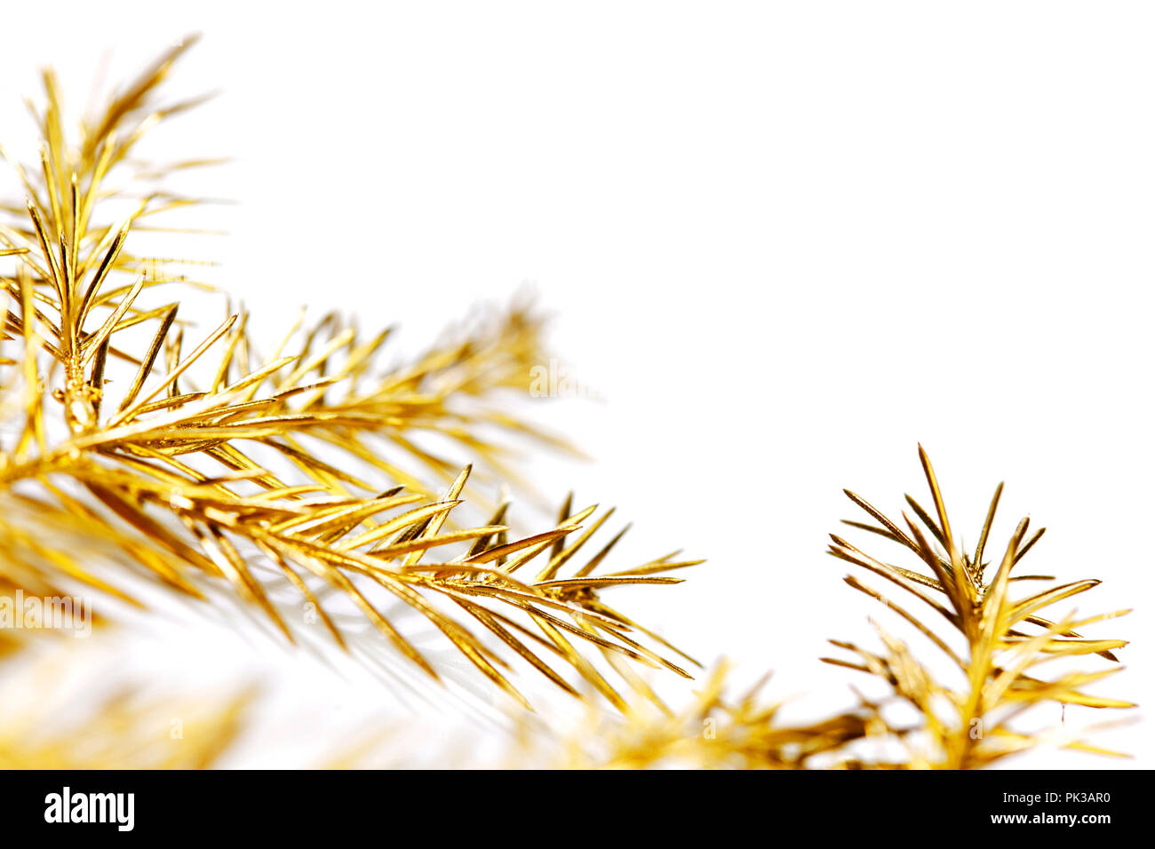 Christmas tree golden branch isolated on white background Stock Photo ...
