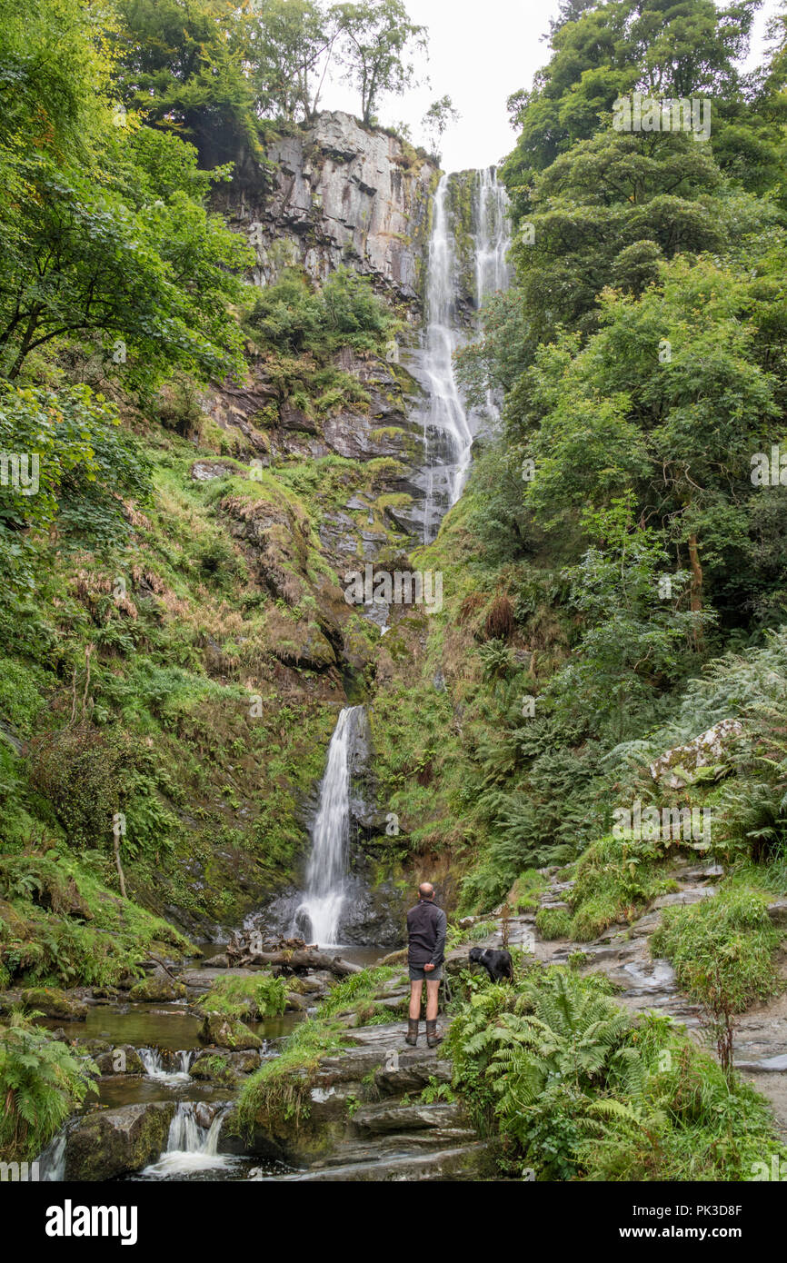 Pistyll rhaeadr waterfalls, wales hi-res stock photography and images ...