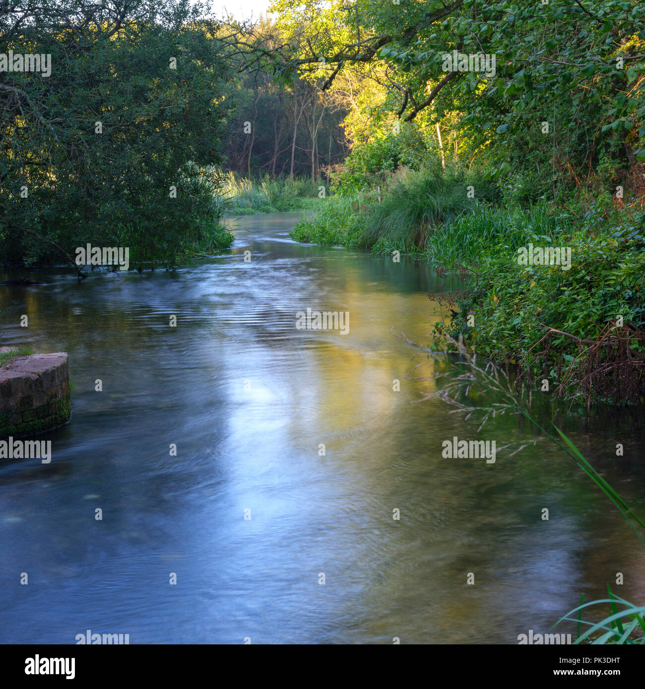 Itchen chalk stream spring hi-res stock photography and images - Alamy