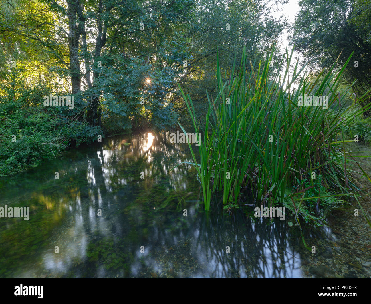 Chalk stream england hi-res stock photography and images - Alamy