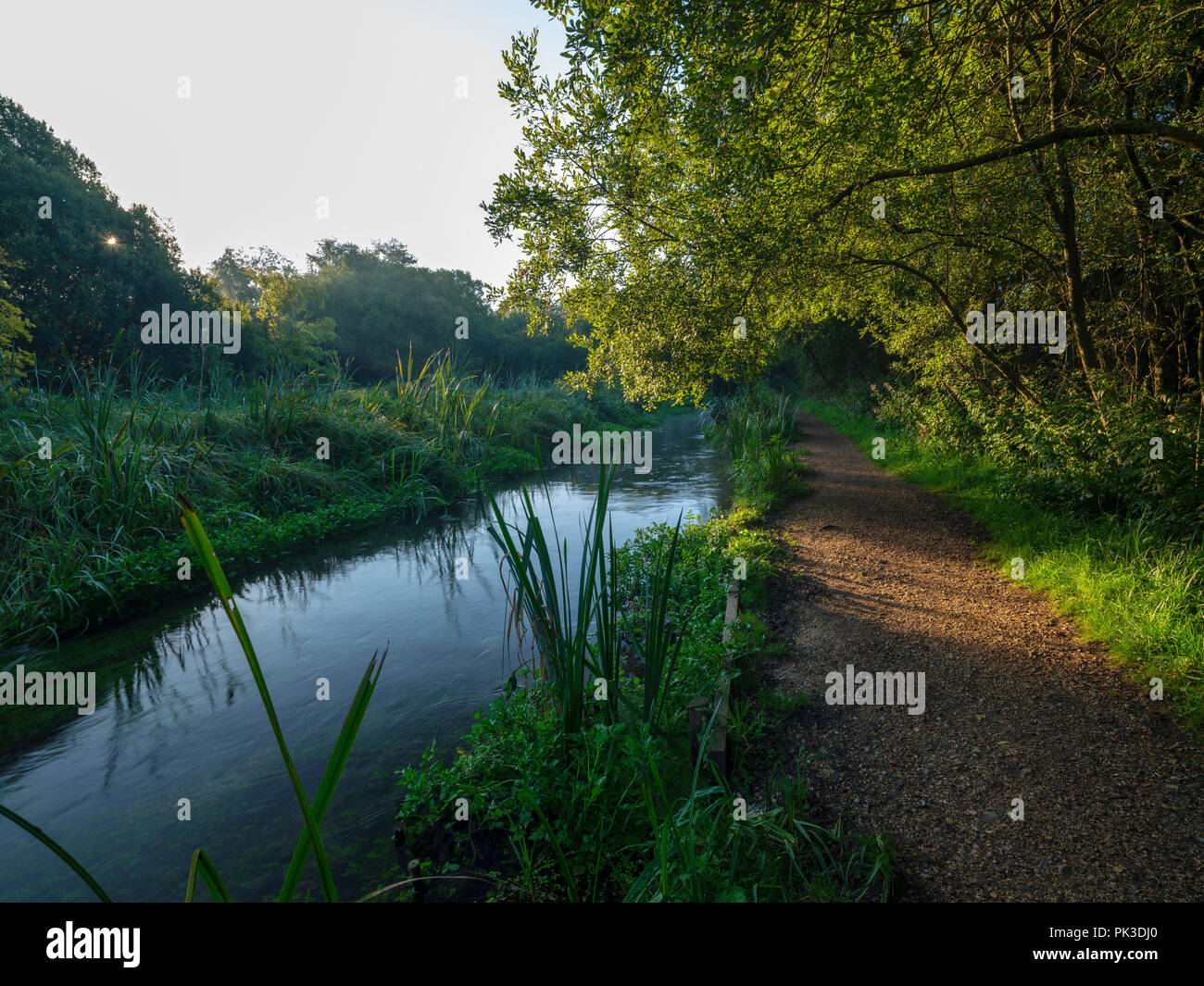 Trout fishing on the itchen hi-res stock photography and images - Alamy