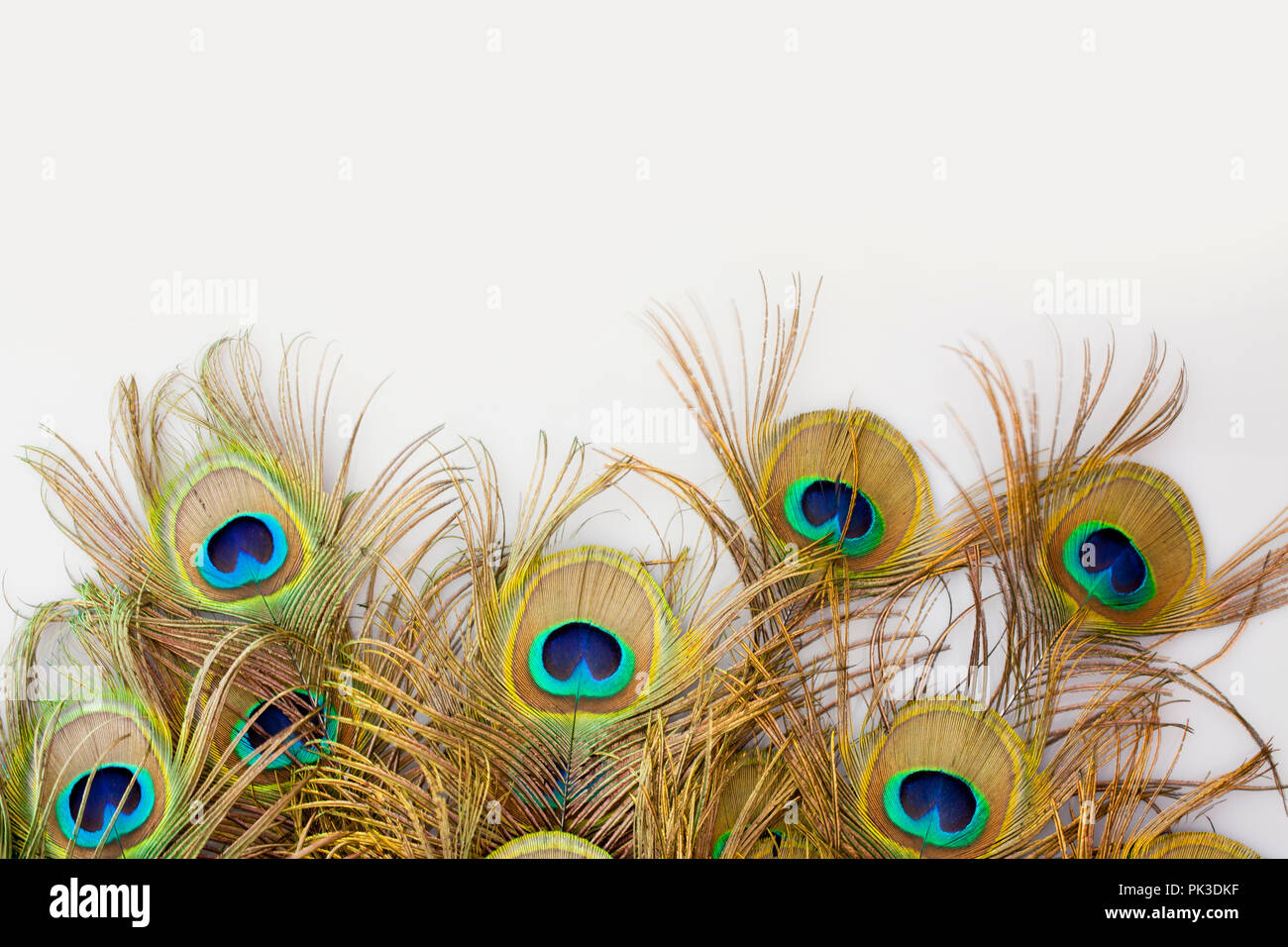 Fluffy feather fan hi-res stock photography and images - Alamy