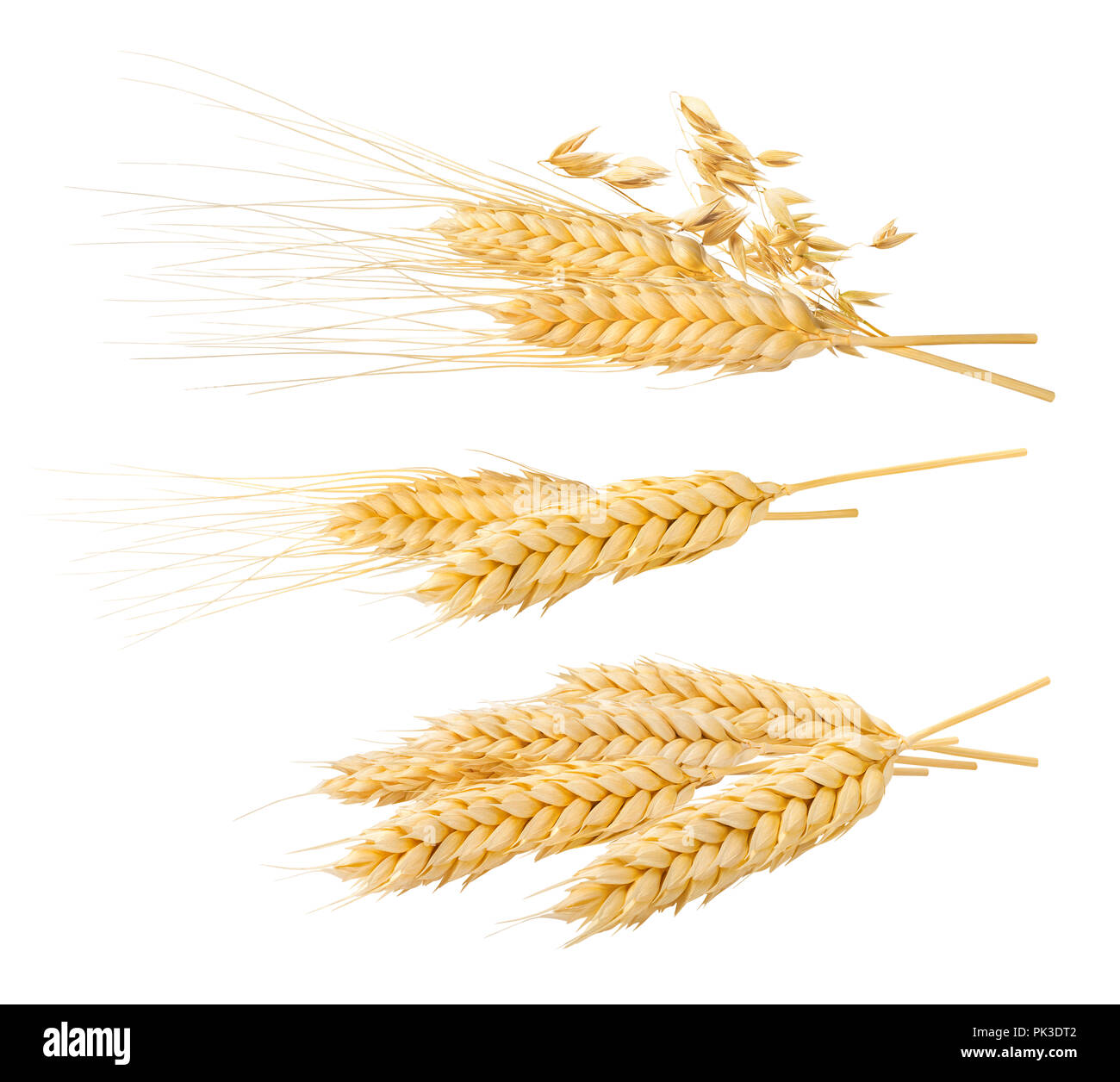 Oat ears hi-res stock photography and images - Alamy