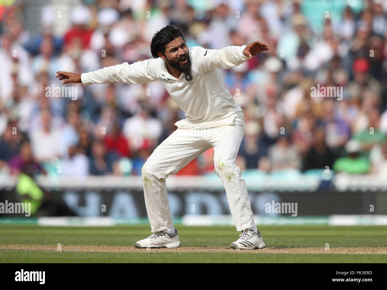Ravindra jadeja test hi-res stock photography and images - Alamy