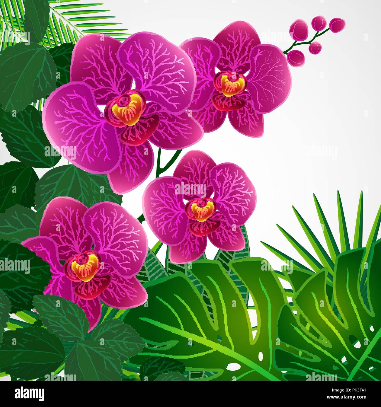 Floral design background. Orchid flowers Stock Vector Image & Art - Alamy