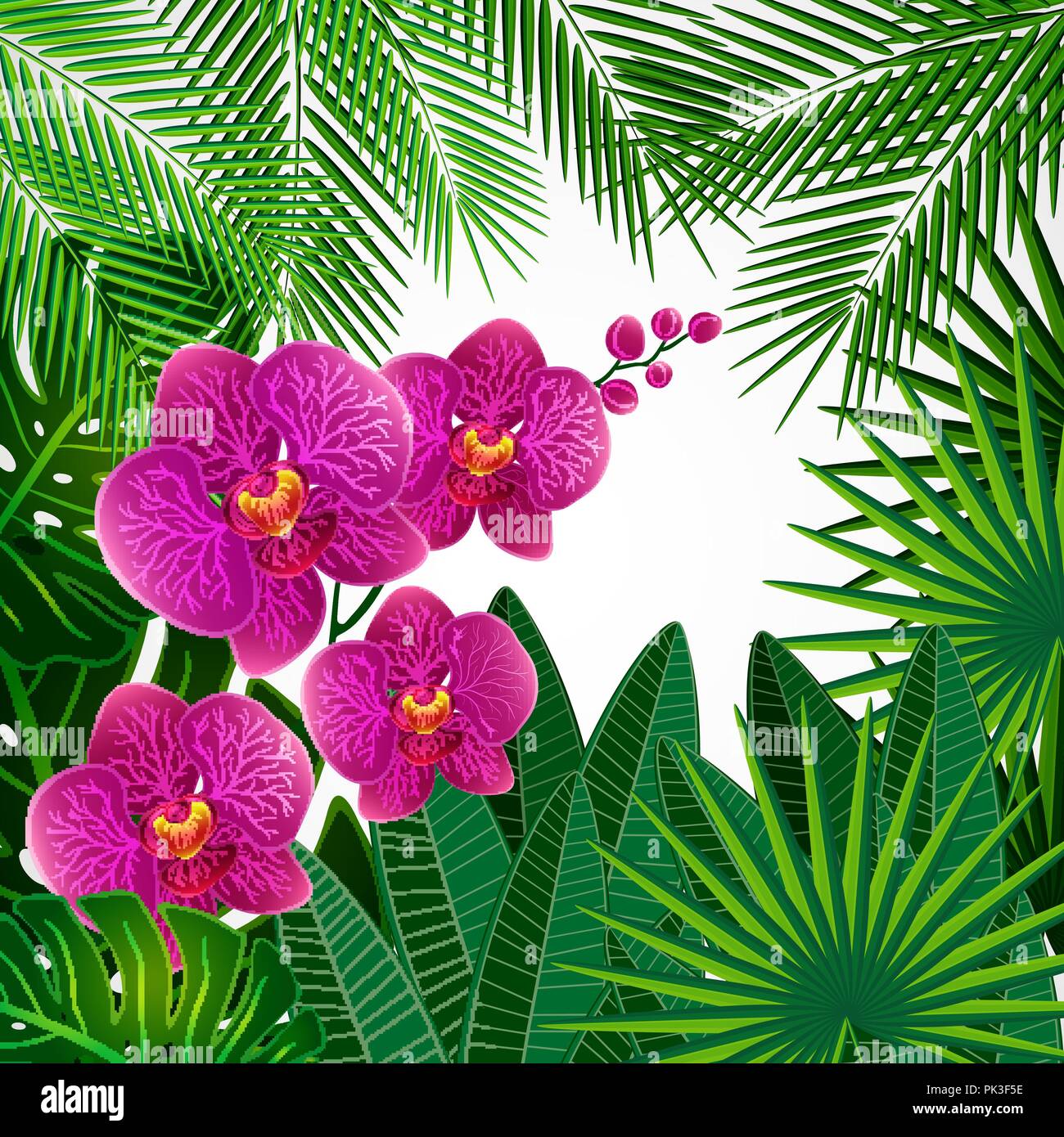Floral design background. Orchid flowers Stock Vector Image & Art - Alamy