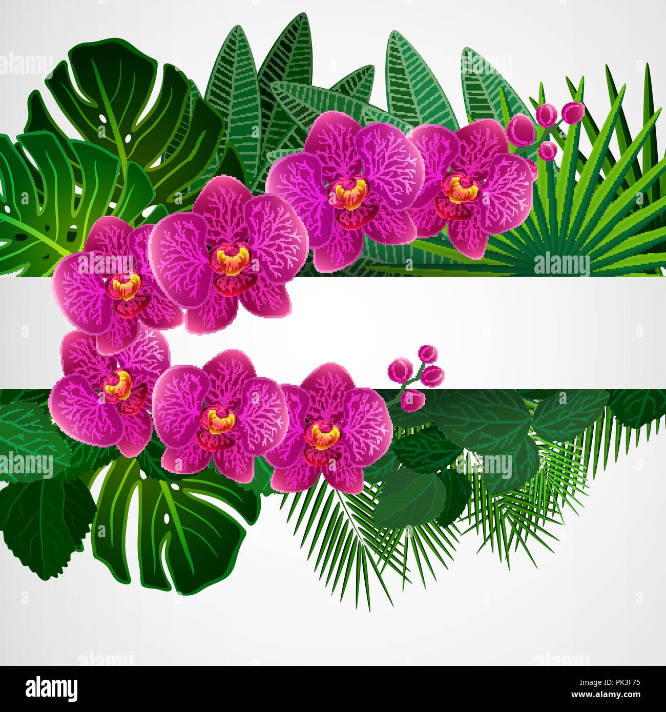 Orchid design Stock Vector Images - Alamy