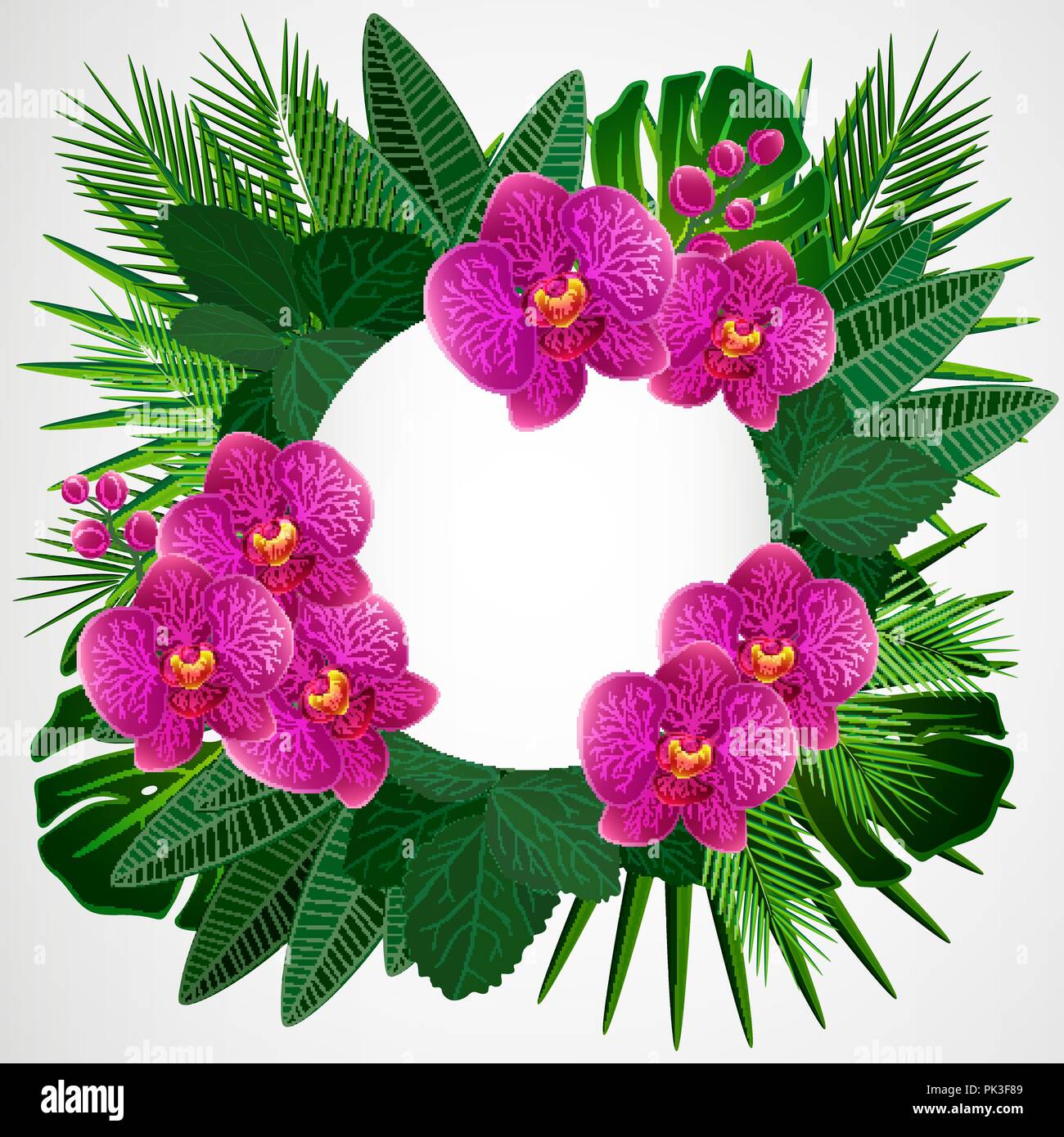 Floral design background. Orchid flowers Stock Vector Image & Art - Alamy