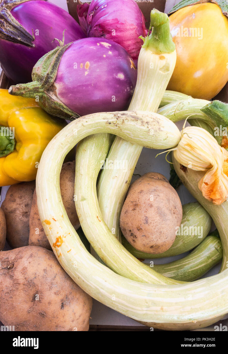 Raw vegetables, big ripe courgettes, potatos, paprika, yellow, green ...