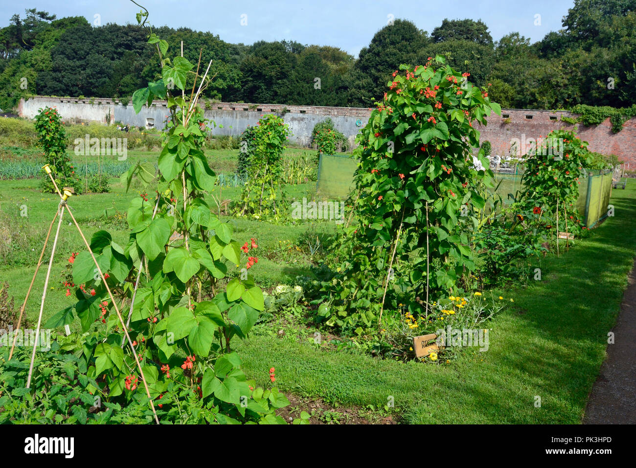 Stackpole mencap garden hi-res stock photography and images - Alamy