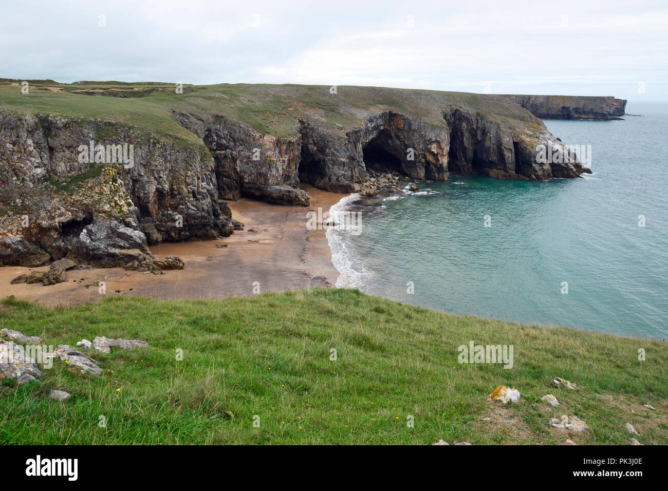 Stackpole estate wales hi-res stock photography and images - Alamy