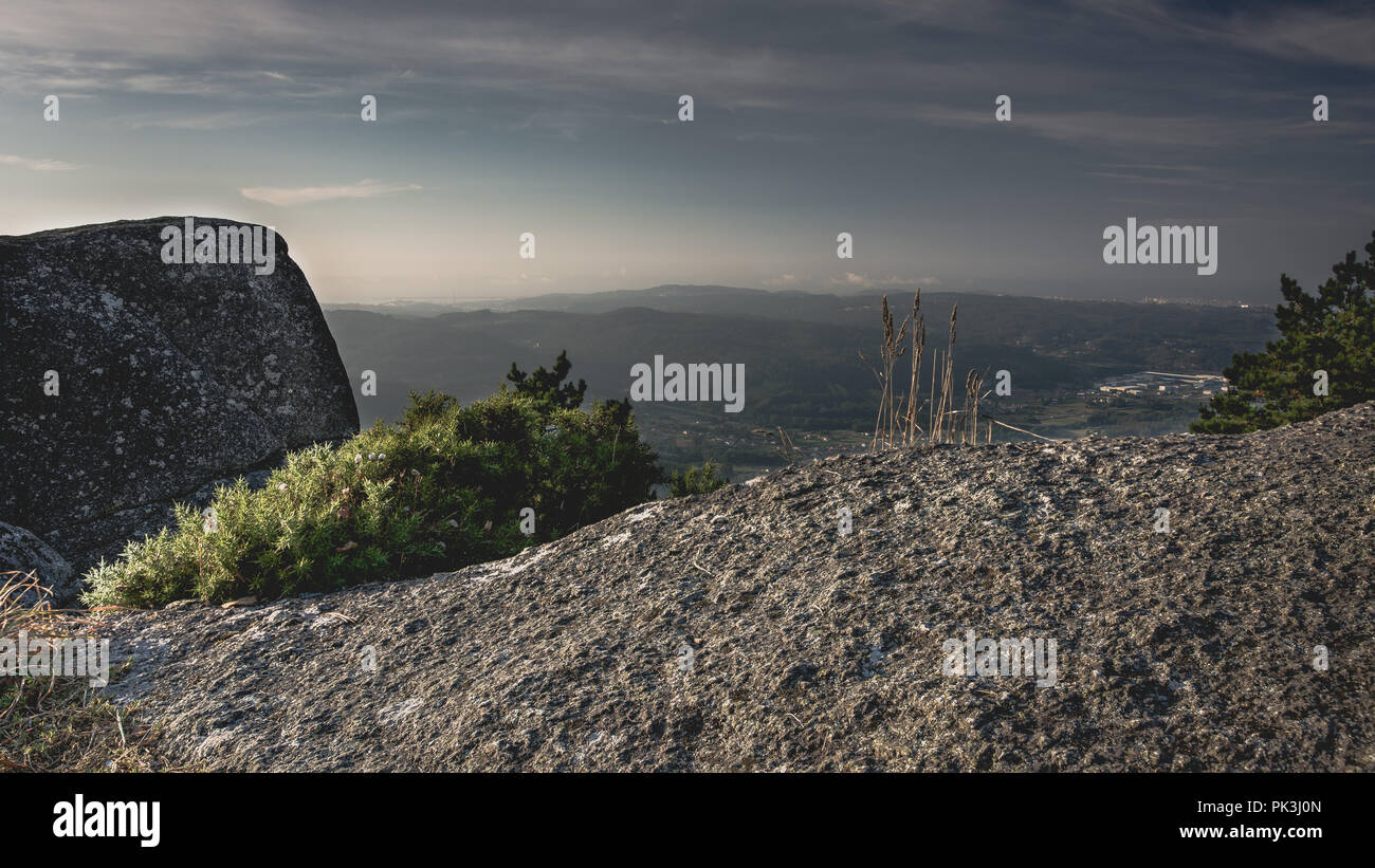 Panoramic landscape scenery big trees hi-res stock photography and ...