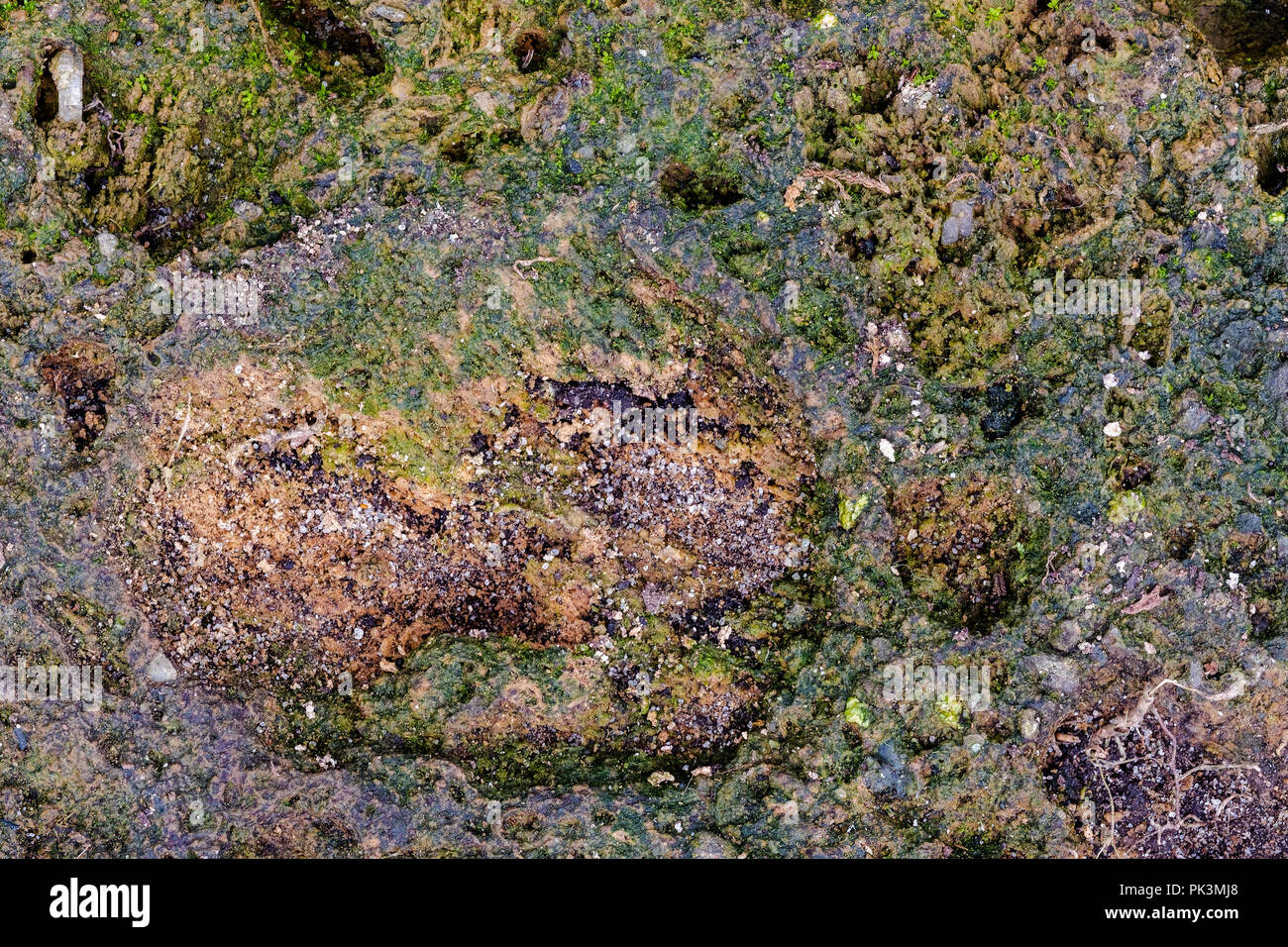 Tuff sedimentary rock hi-res stock photography and images - Alamy