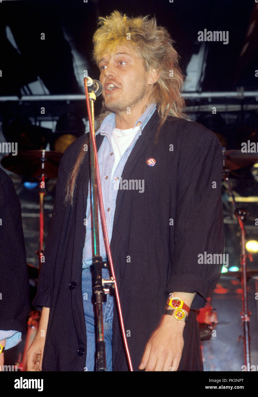Bruce & Bongo in May 1986 in Hannover / Hanover. | usage worldwide ...