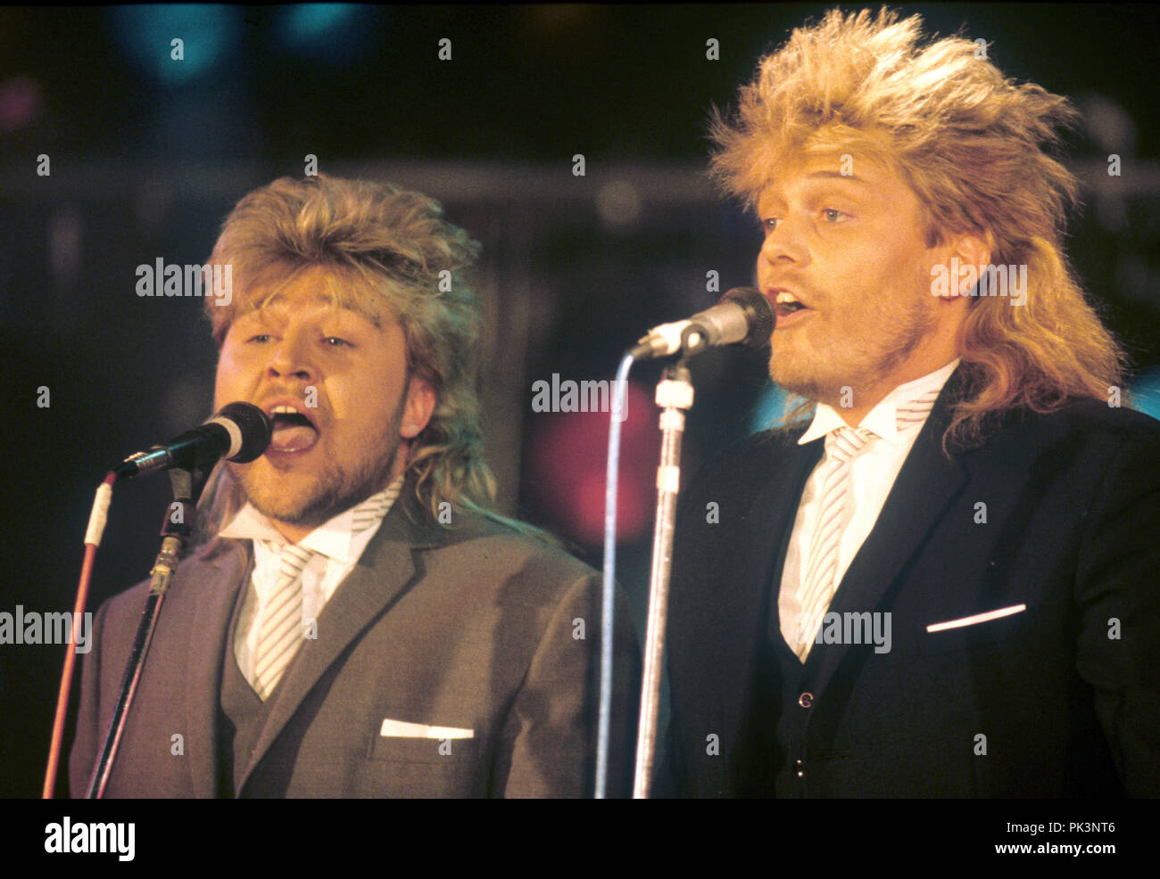 Bruce & Bongo in May 1986 in Hannover / Hanover. | usage worldwide ...