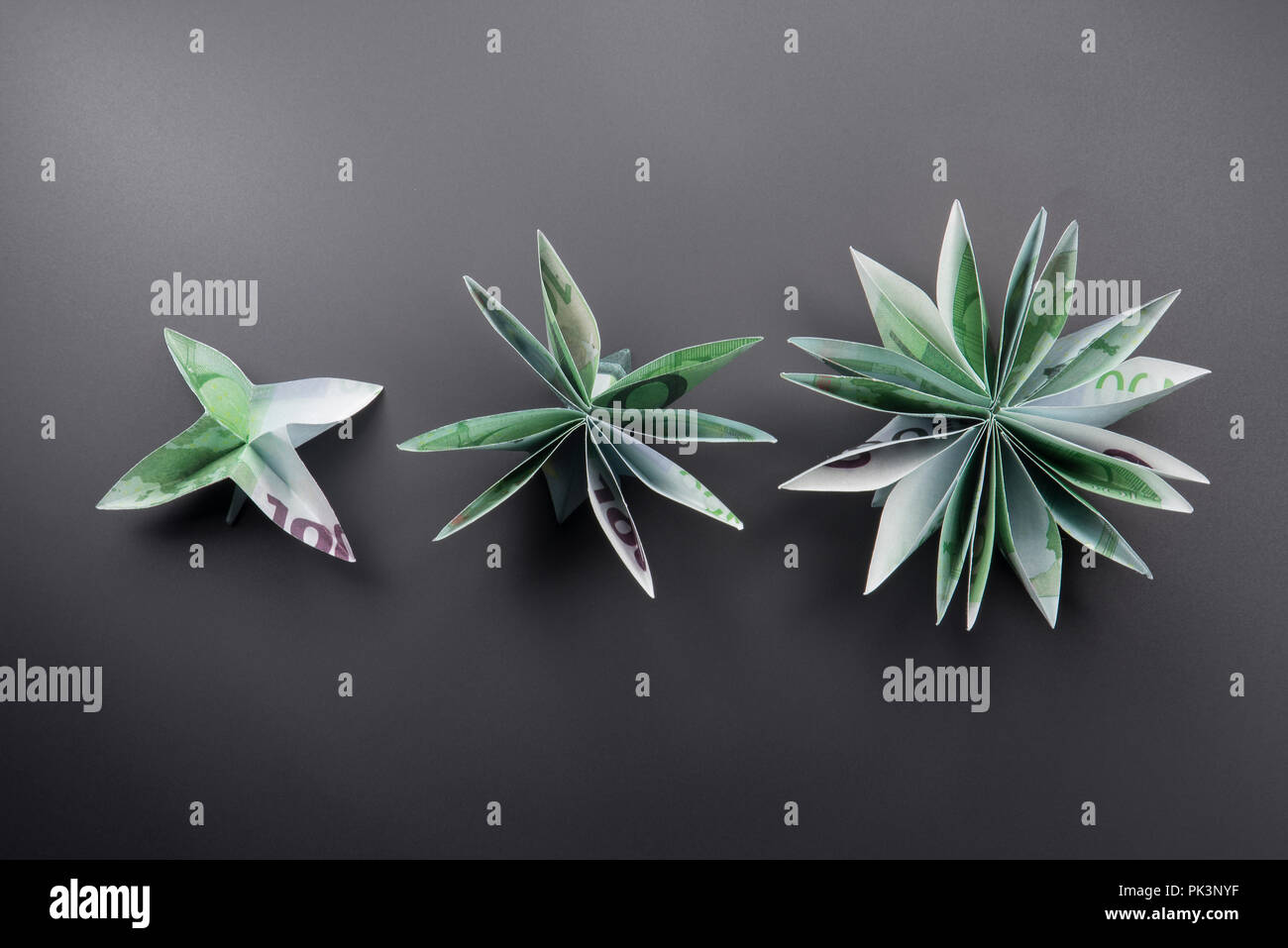 flowers origami banknotes Stock Photo - Alamy