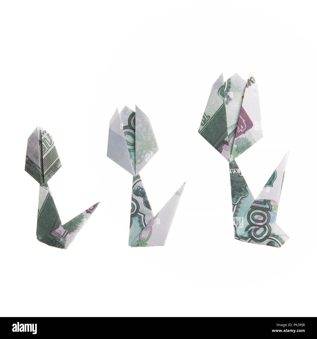 Tulip flowers gift paper Cut Out Stock Images & Pictures - Alamy