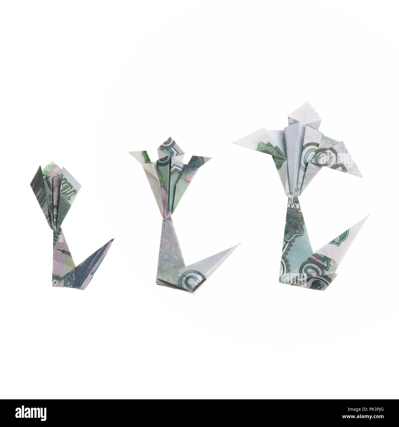 Tulip flowers gift paper Cut Out Stock Images & Pictures - Alamy