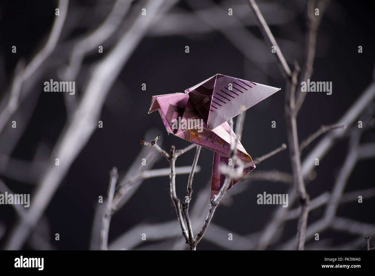 Euro banknote art hi-res stock photography and images - Alamy