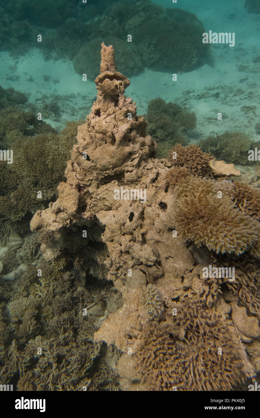 Snorkeling in the inner lagoon at Millennium atoll in Kiribati showing ...