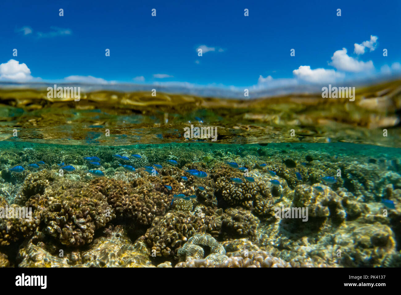 Raroia is tuamotus hi-res stock photography and images - Alamy