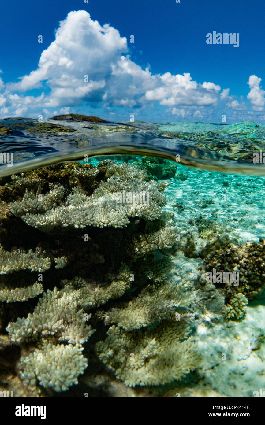 Raroia atoll hi-res stock photography and images - Alamy