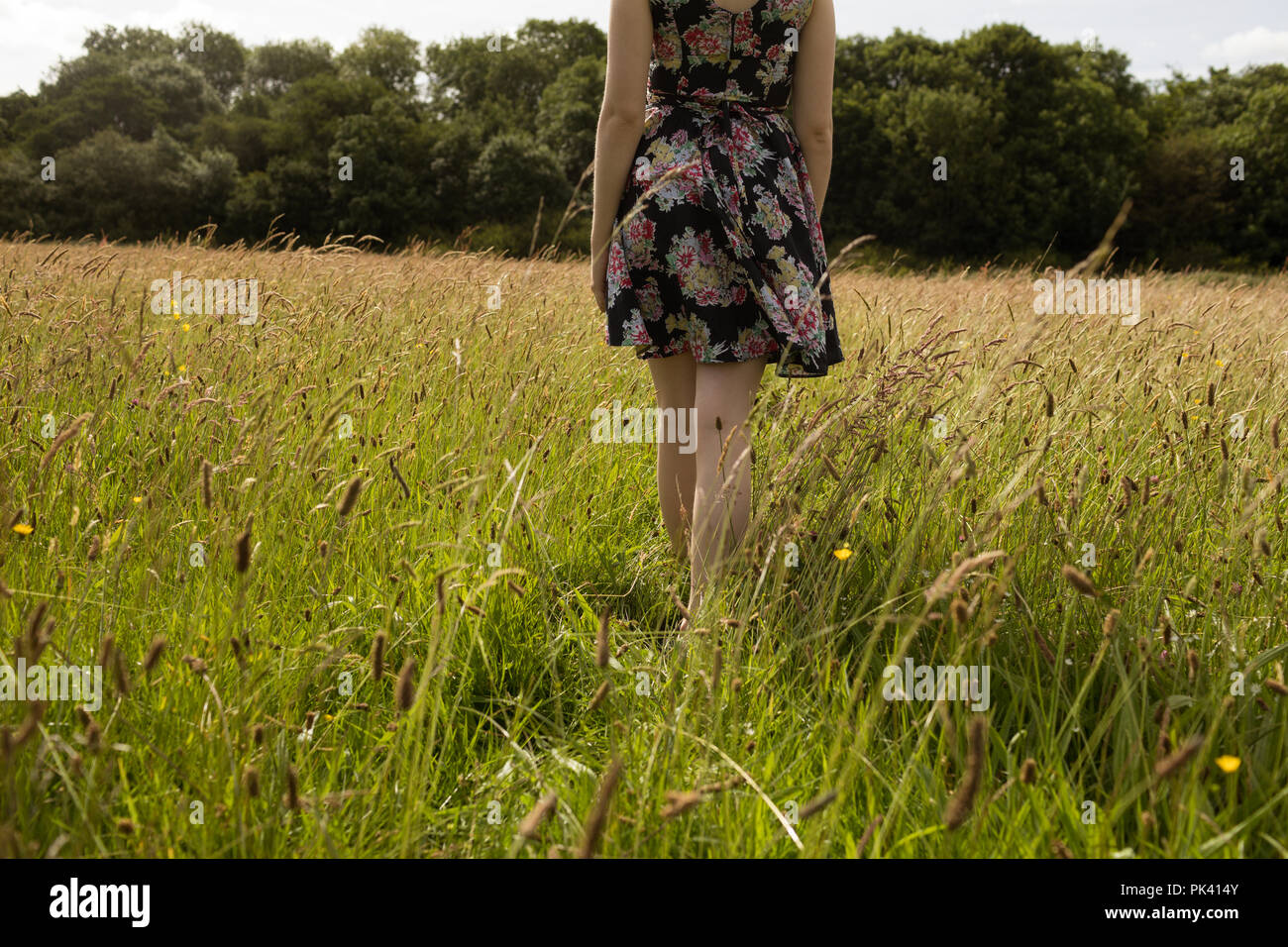 Woman walking field summer hi-res stock photography and images - Alamy