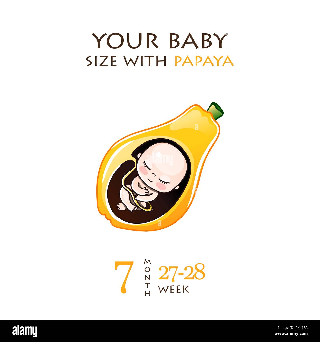 Stages of development of pregnancy, the size of the embryo for weeks ...