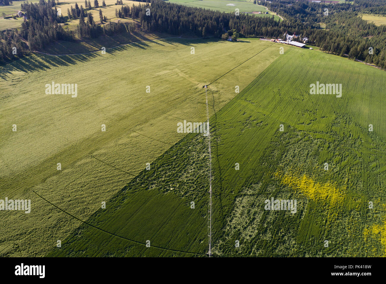 Aerial view of green field Stock Photo - Alamy