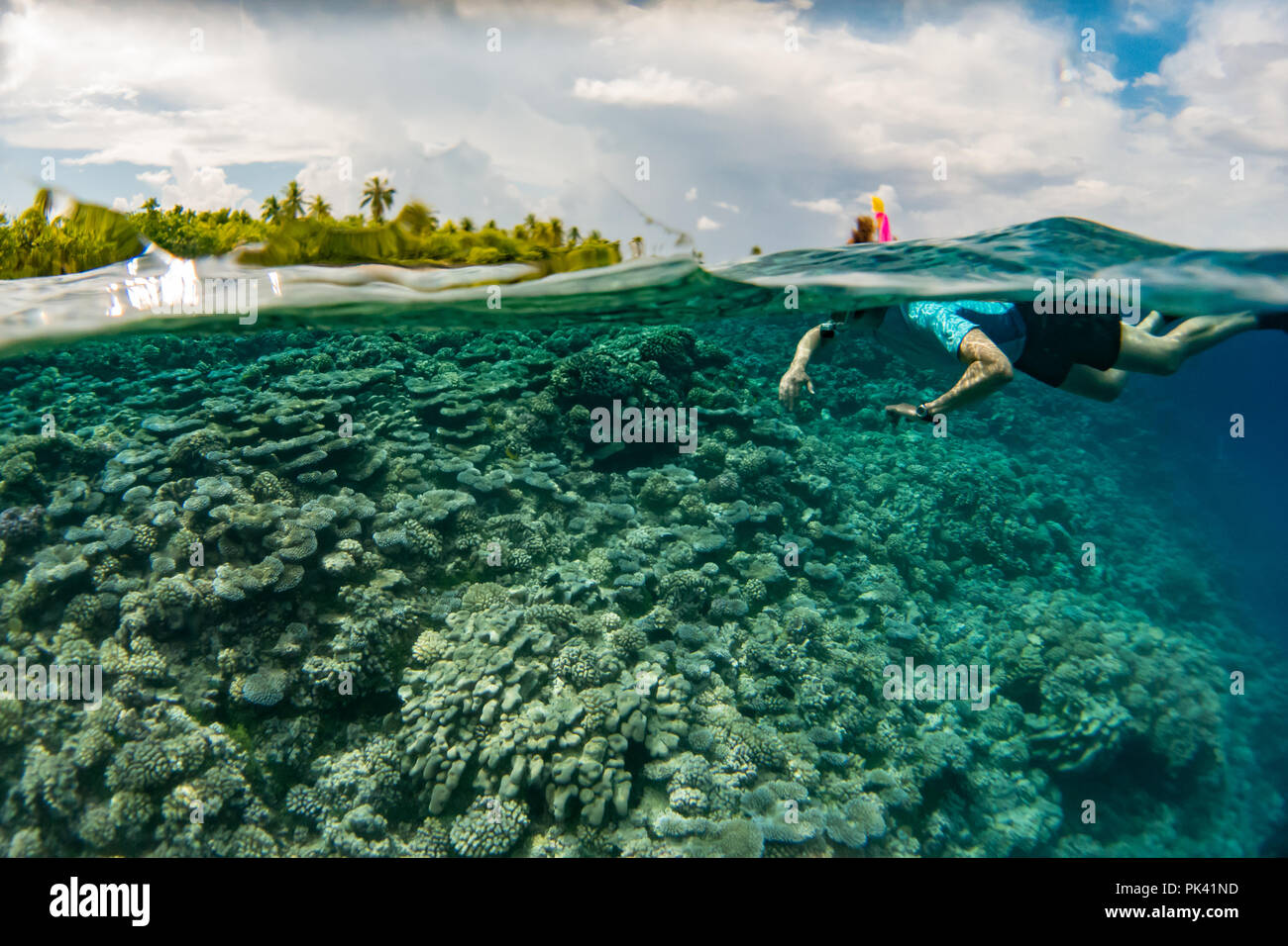A snorkeler enjoys the idyllic setting of the south pass reef drop off ...