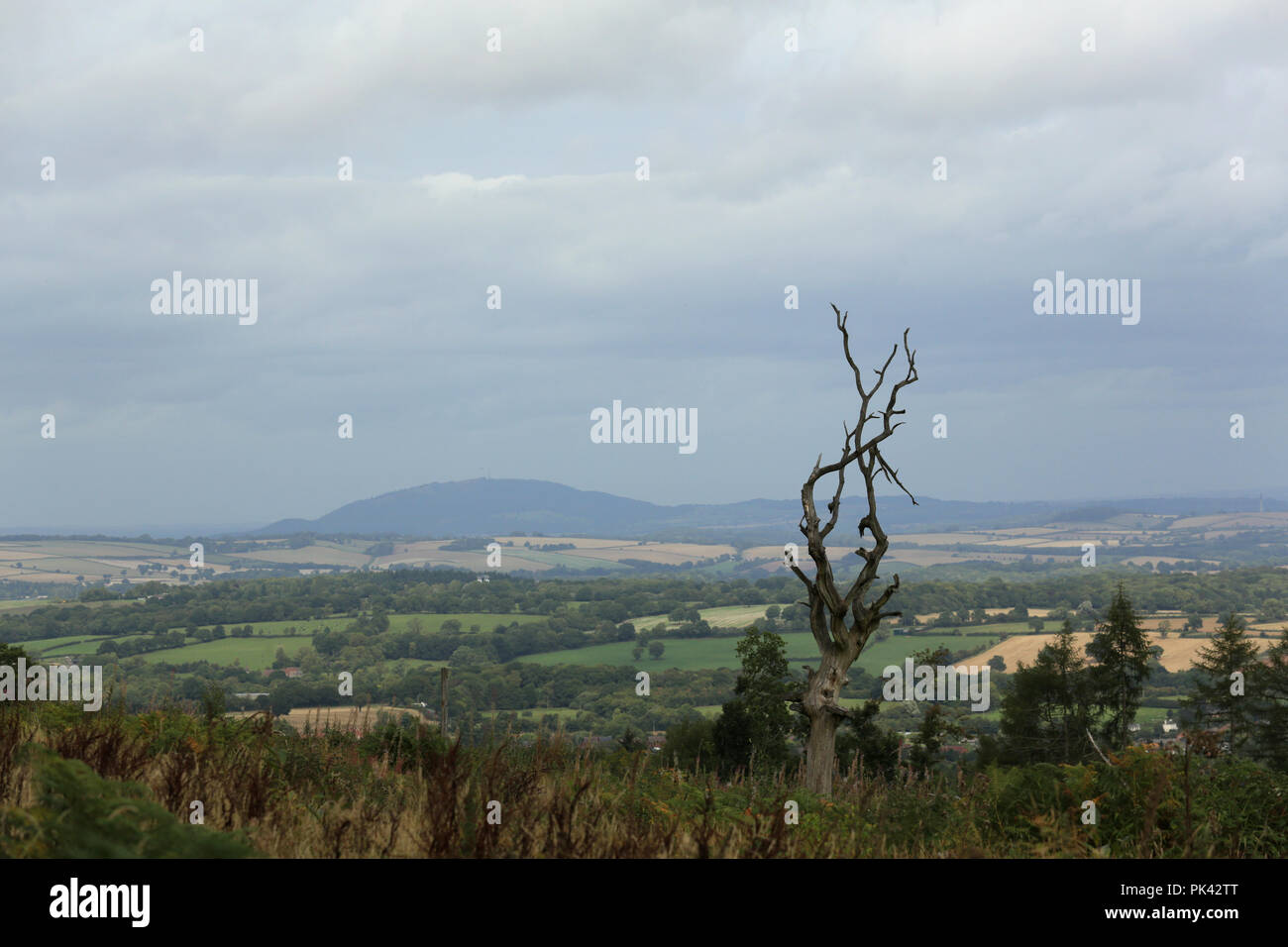 The Wrekin 407m (1,335ft) viewed from Brown Clee hill, Shropshire, with ...