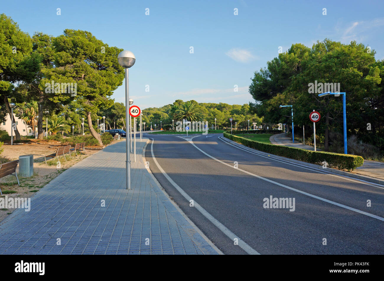 Empty street road with trees and sidewalk Stock Photo - Alamy