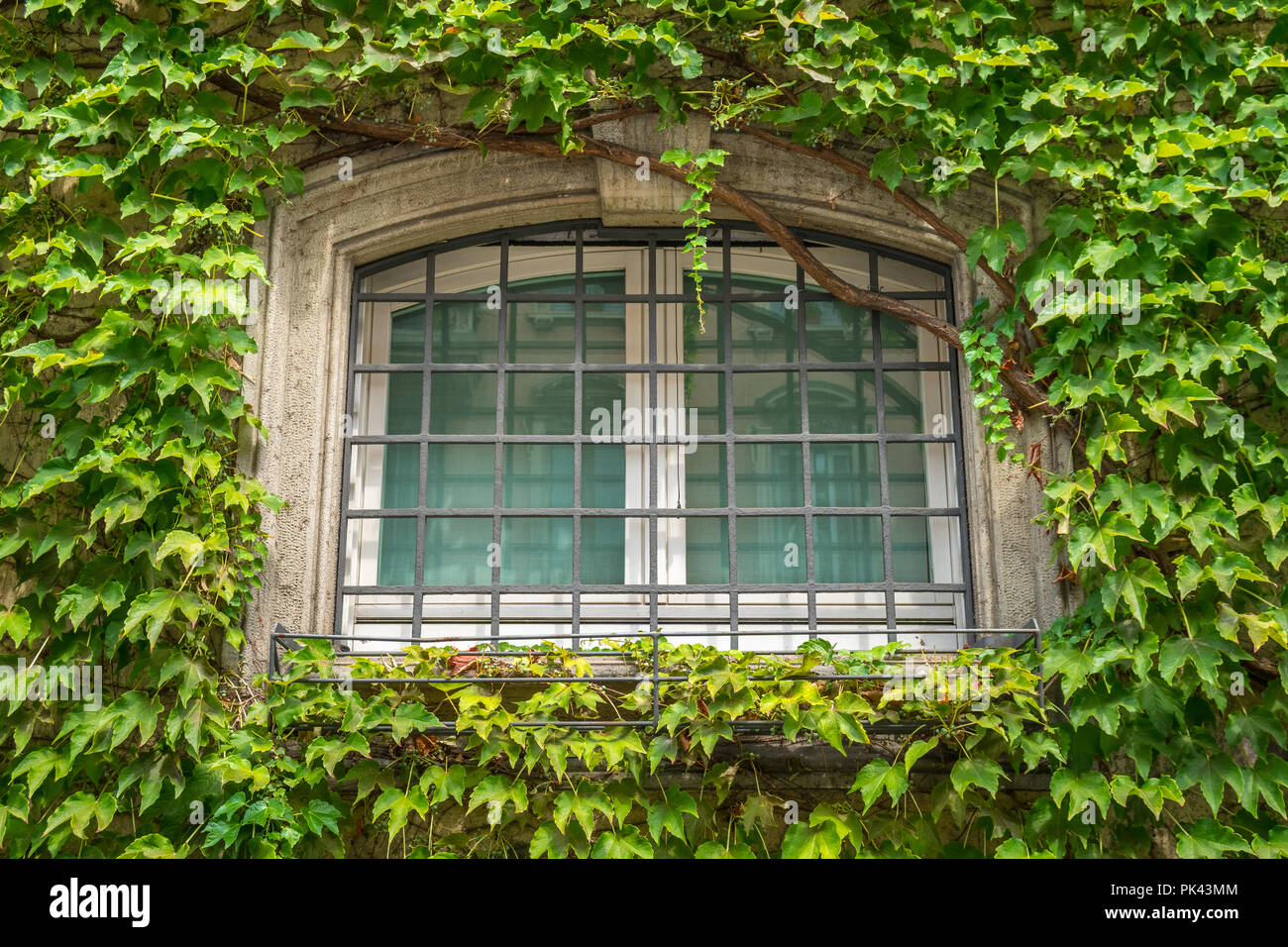 View of house facade with wall and windows, covered by overgrown ...