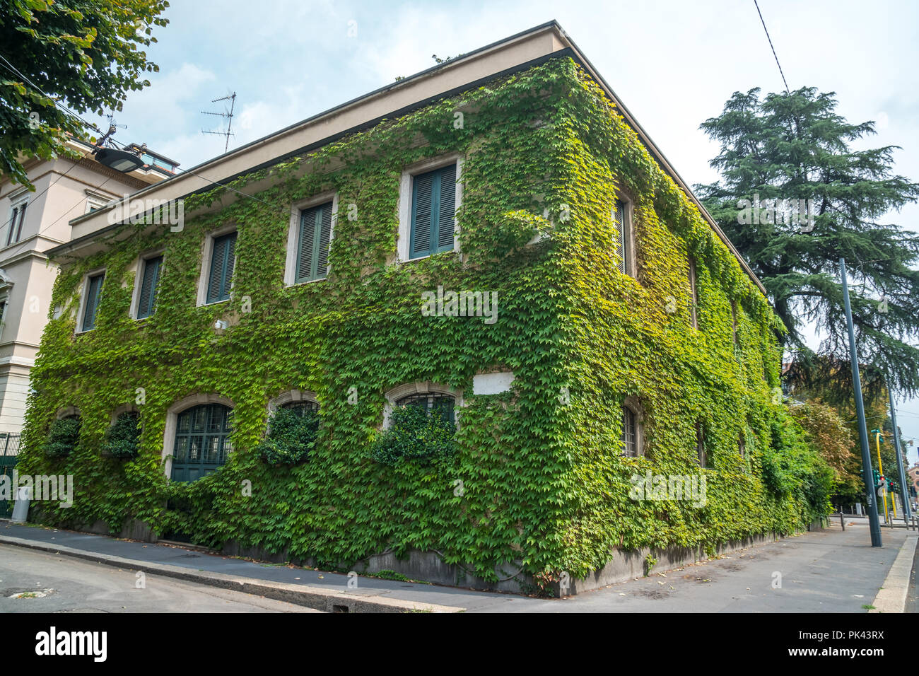 View of house facade with wall and windows, covered by overgrown ...