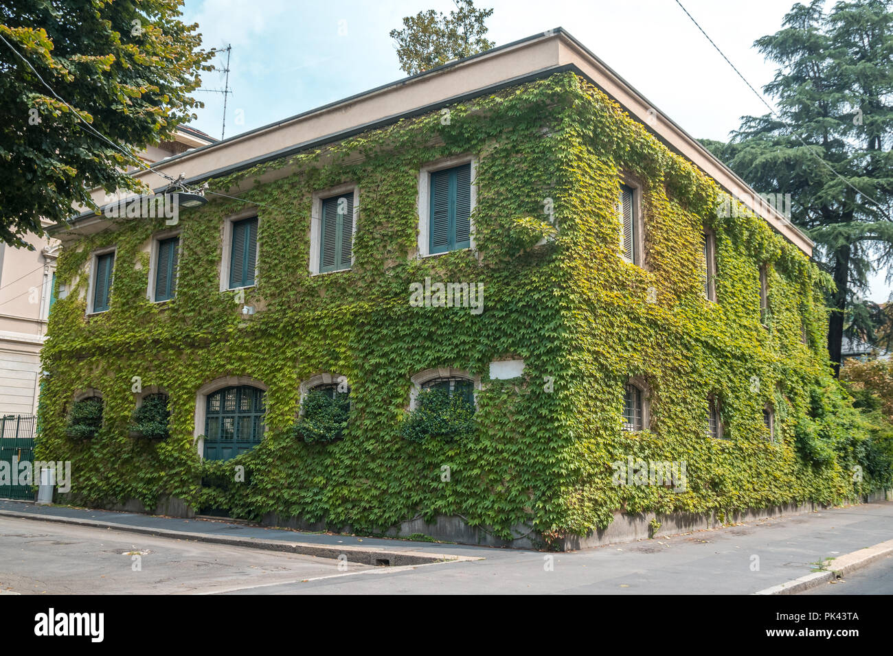 View of house facade with wall and windows, covered by overgrown ...