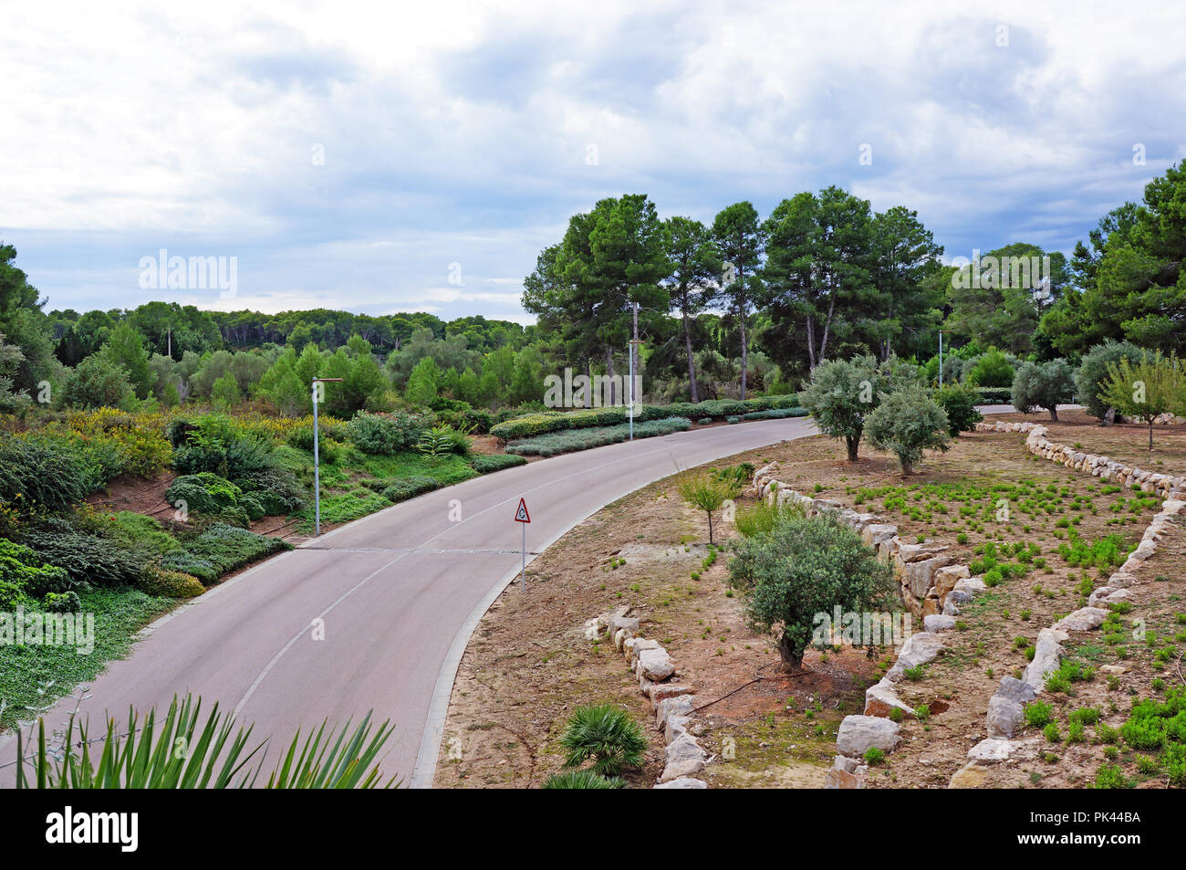 Ground level plant hi-res stock photography and images - Alamy