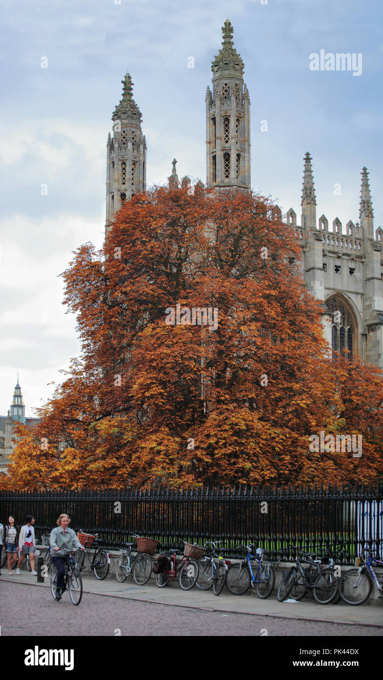 King's College Chapel, bicycles and horse chestnut tree, King's Parade ...
