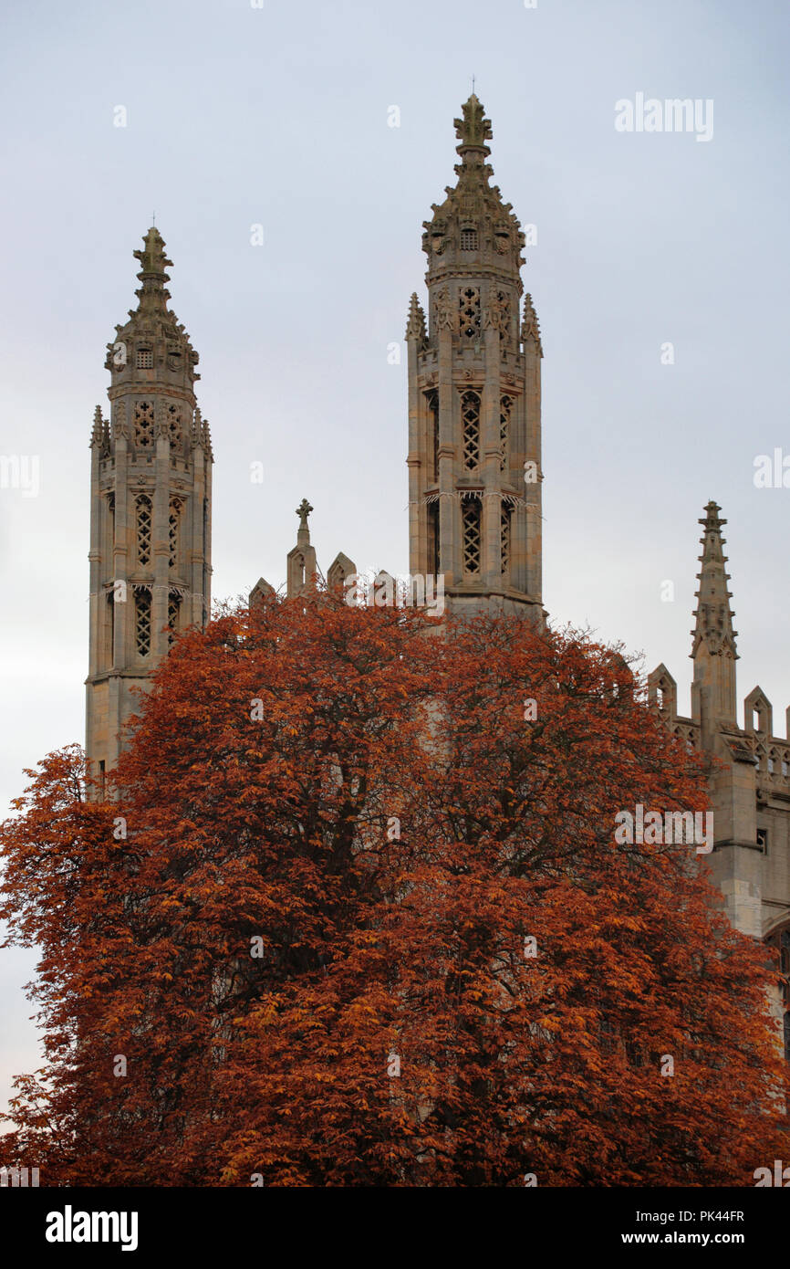King's College Chapel and Autumn horse chestnut tree, King's Parade ...