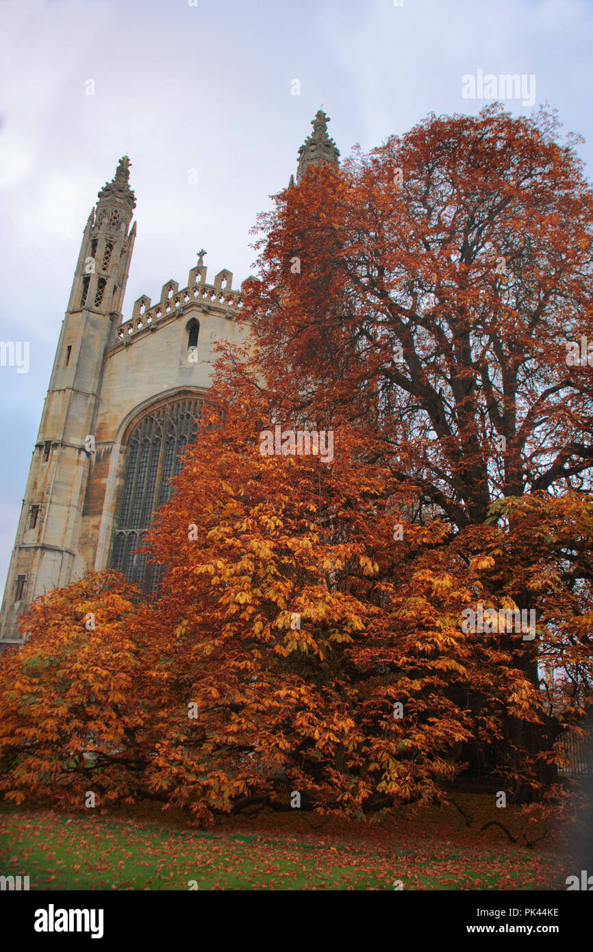 Horse fifteenth century hi-res stock photography and images - Alamy