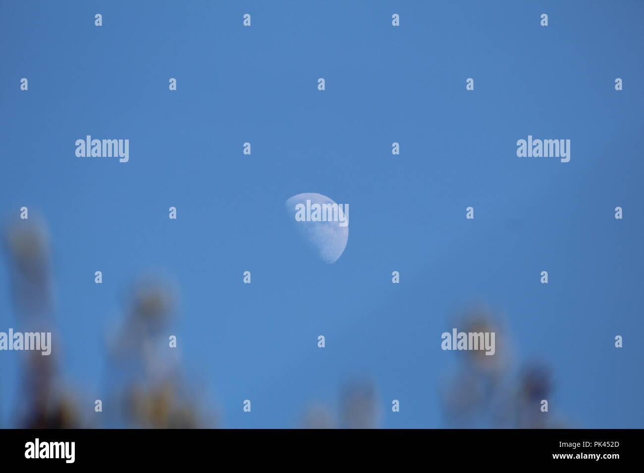 moon in the daytime Stock Photo - Alamy