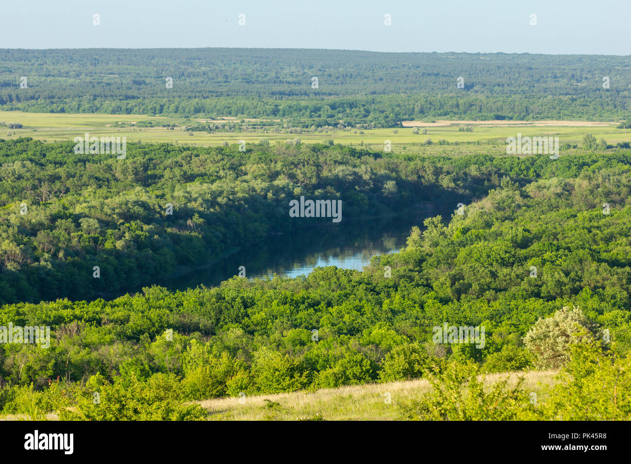 beautiful landscape with forest and river horizon Stock Photo - Alamy