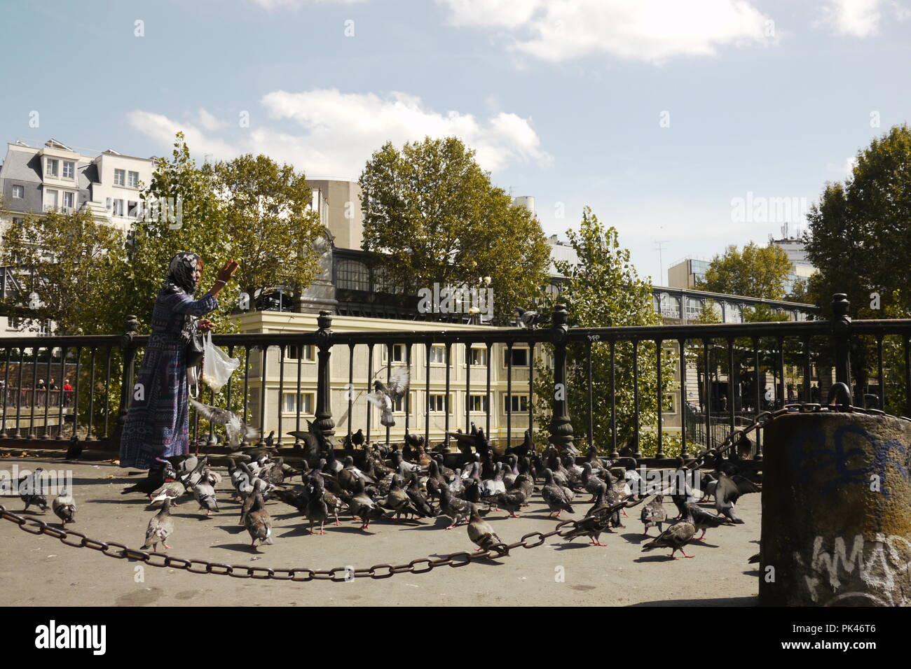 Pigeons street paris hi-res stock photography and images - Alamy
