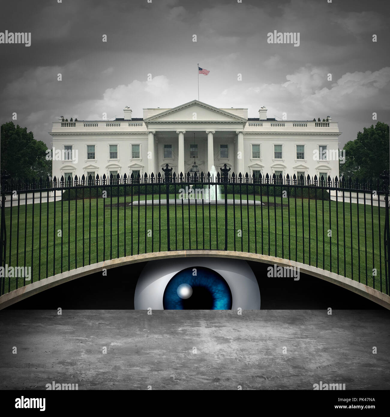 White House Underground