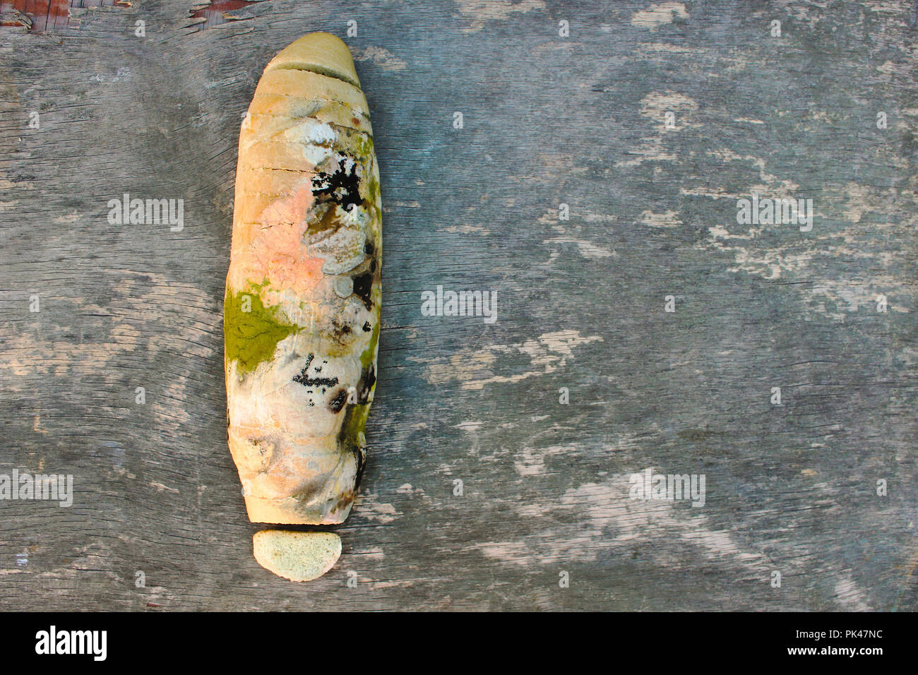 The old white mold on the bread. Spoiled food. Mold on food Stock Photo ...