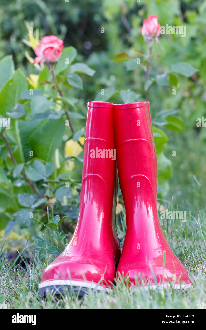 Red garden rubber boots on green grass and blurred background with rose ...