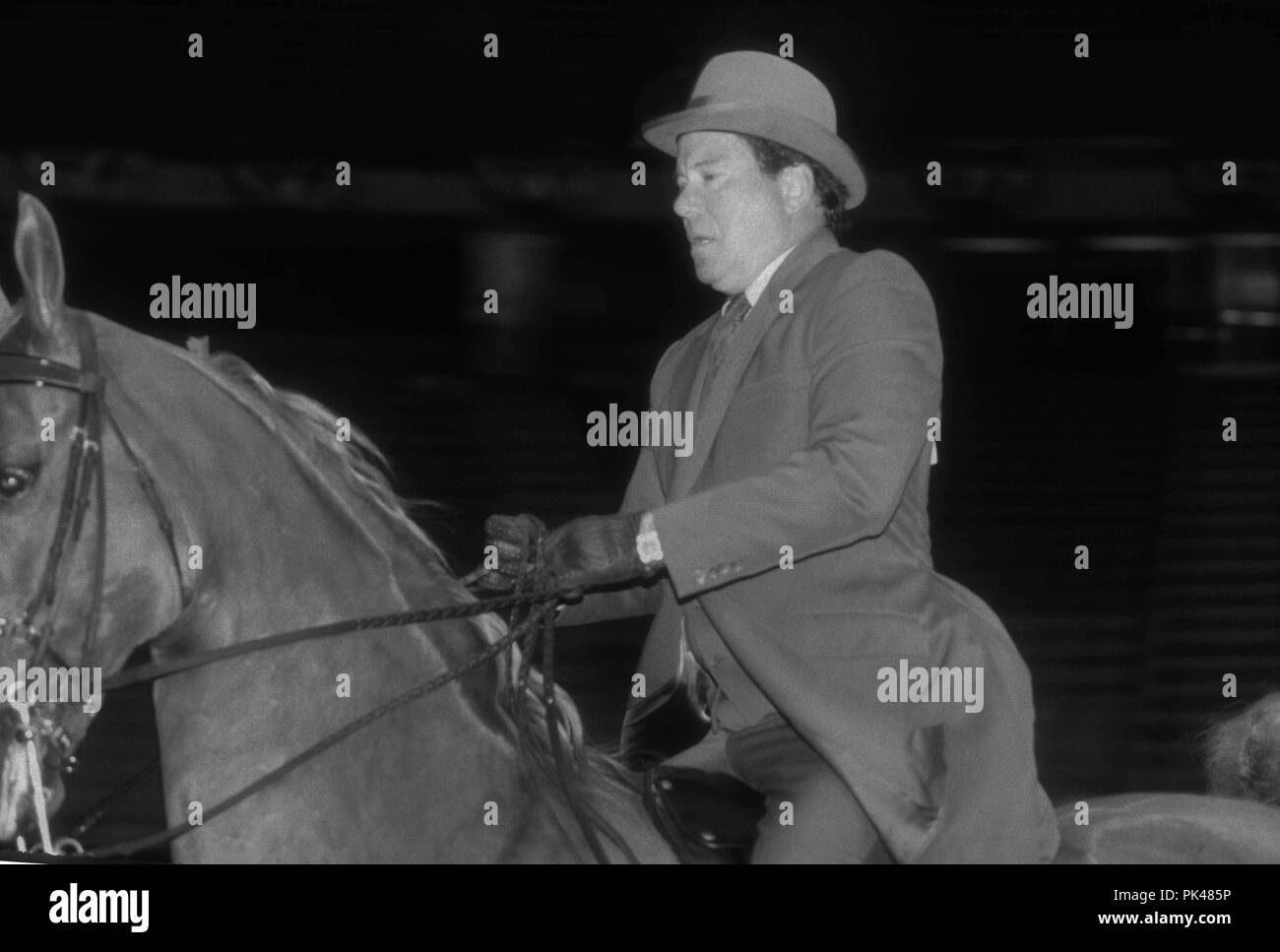 William Shatner 1990 Photo By Adam Scull/PHOTOlink /MediaPunch Stock ...